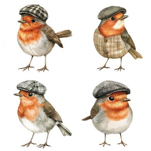 12x Robin in Plaid Cap PNG Clip Art, Watercolor Flat Cap Clipart Set ...