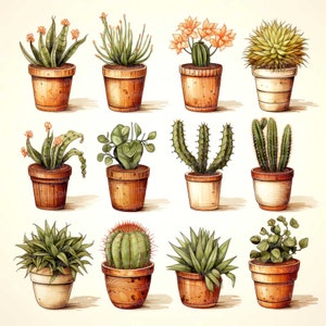 12x Potted Cactus Clipart, Pot Plants Floral Clipart, Printable ...