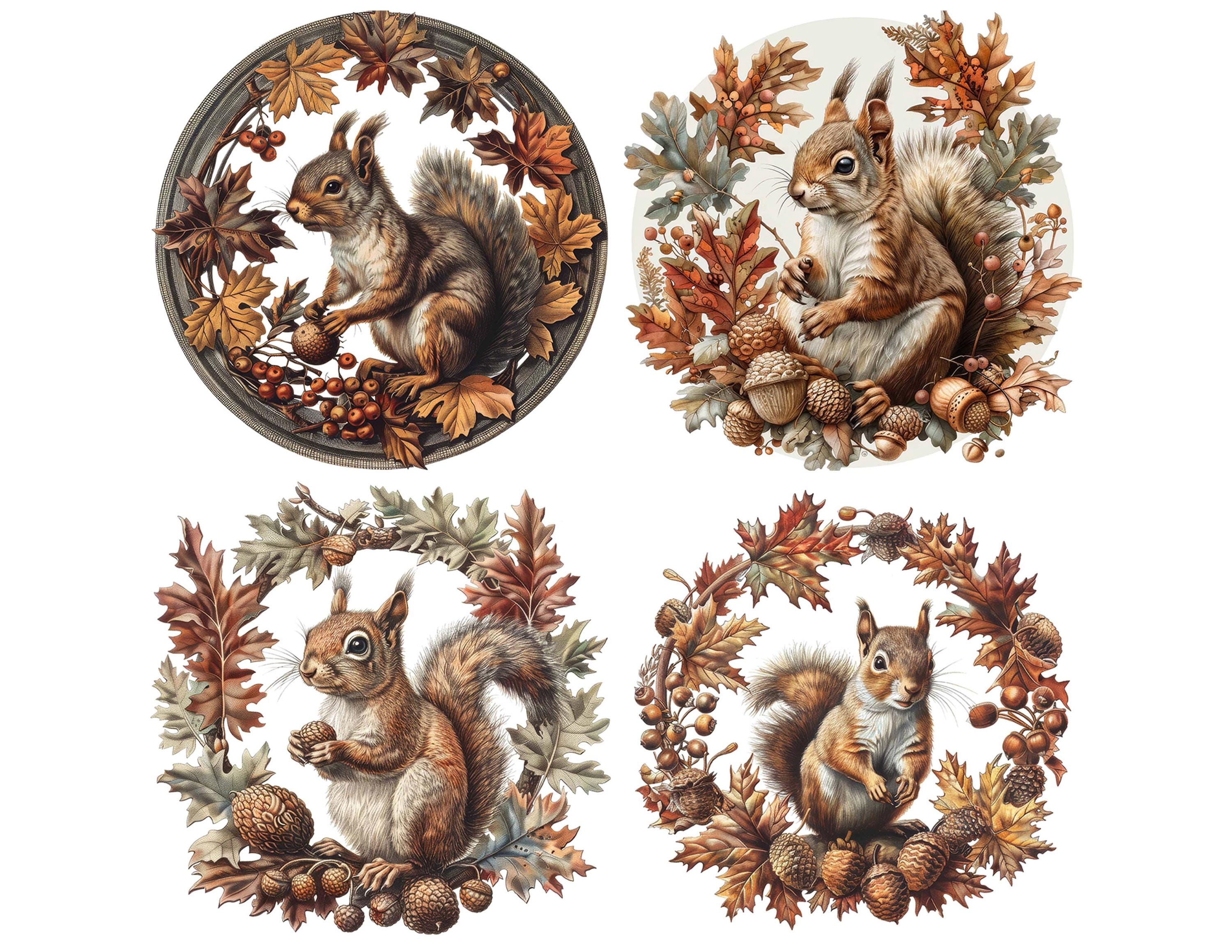 Squirrel Clipart, 12x Vintage Woodland Animal Set, Printable Autumn ...