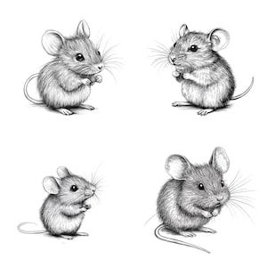 Mouse Sketch PNG Clipart, 12x Intricate Cute Mouse Illustrations ...