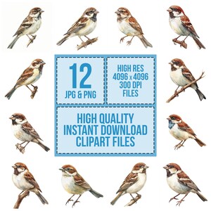 Sparrow Clipart PNG, 12x Watercolor Bird Clip Art Set, Printable ...