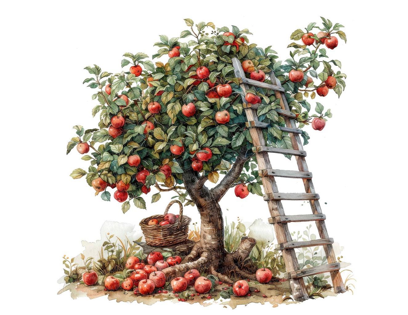 Apple Tree Harvest PNG Clipart, 12x Fall Fruit Clip Art Set, Printable ...