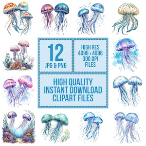 12x Marine Jellyfish PNG Clipart, Watercolor Sea Life Clip Art Set ...