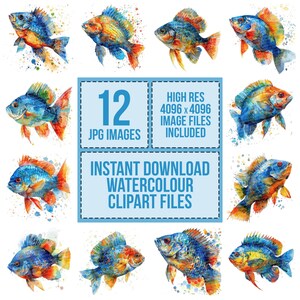 12 Bluegill Fish Clipart, Watercolor Fish Clipart, Printable Watercolor ...