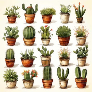 12x Potted Cactus Clipart, Pot Plants Floral Clipart, Printable ...