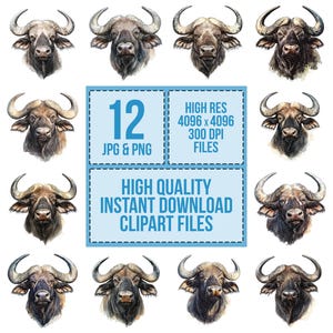 12 African Buffalo Head Clip Art, Watercolor Buffalo Animal PNG ...