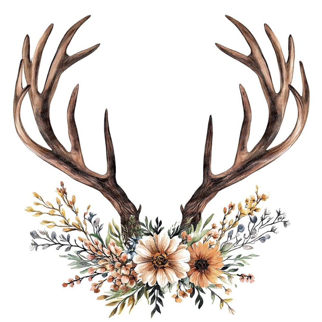 Deer Antler PNG Clipart, 12x Floral Antlers Clip Art Set, Printable ...