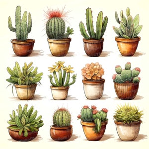 12x Potted Cactus Clipart, Pot Plants Floral Clipart, Printable ...