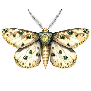 12 Jeweled Moth Clipart, Watercolor Moth Art, Printable Clipart ...