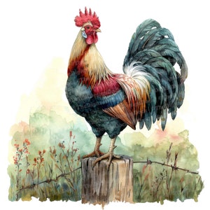 12x Farm Cockerel Clipart, Farm Fence Clipart, Printable Watercolor ...