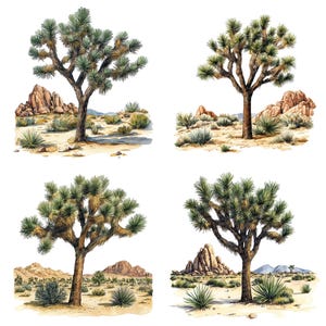 Joshua Tree PNG Clipart, 12x Desert Landscape Clip Art Set, Printable ...