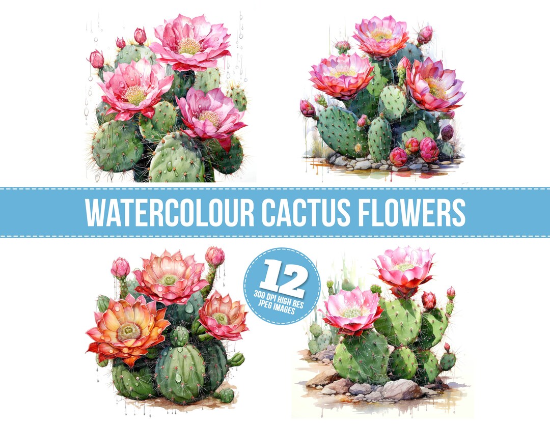 Cactus Flower Clipart, 12 Jpgs, Desert Clip Art Images, Printable Image ...