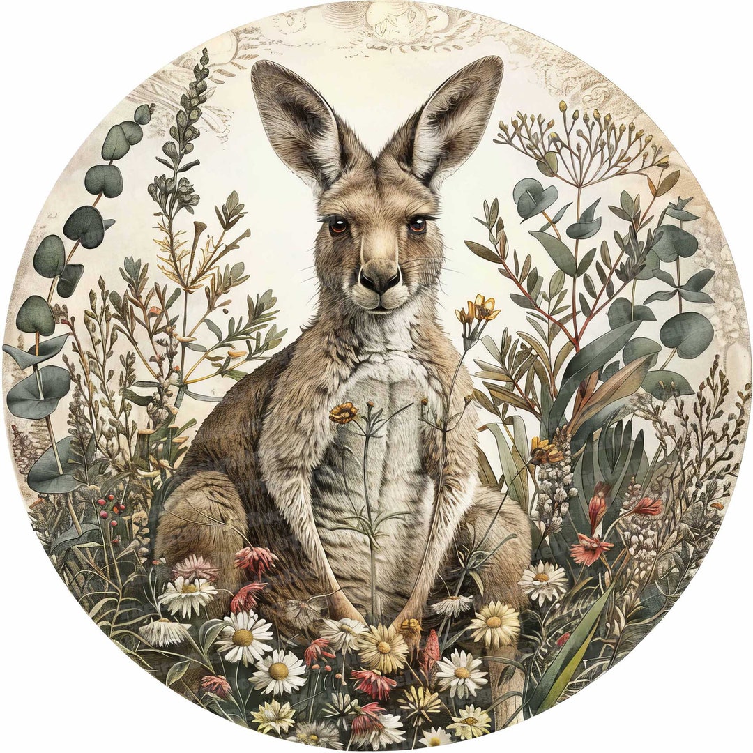 12x Vintage Kangaroo Clipart, Outback Animal Clipart, Printable ...