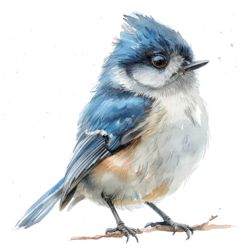 Blue Titmouse - Etsy