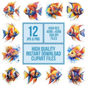 12 Tropical Fish Clip Art Pngs, Colorful Marine Life Illustrations ...
