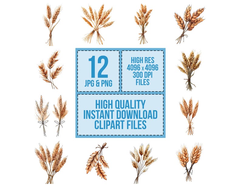 Boho Wheat Stalks Clipart, 12x Watercolor Harvest Bundle PNG, Rustic ...