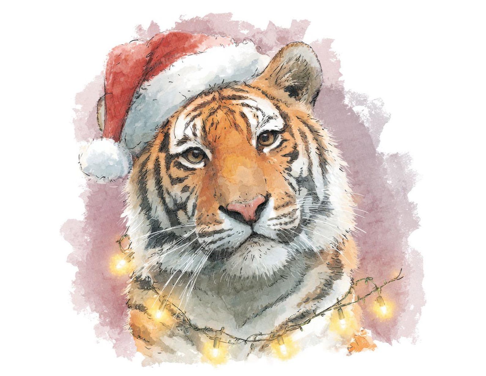 Christmas Tiger Clipart, 12x Santa Hat Tigers PNG, Printable Watercolor ...