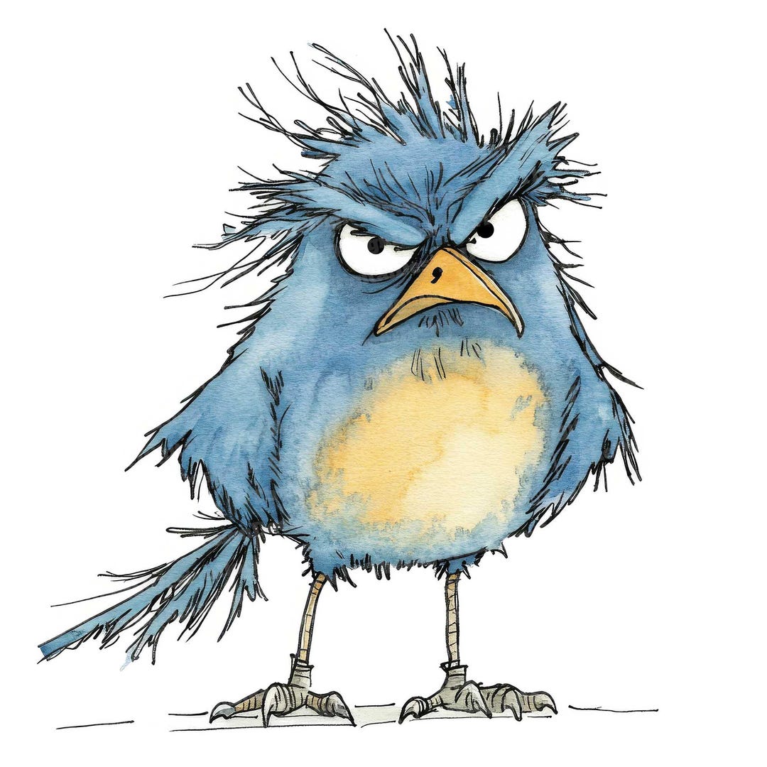 12x Grumpy Bird Clipart, Angry Blue Bird, Digital Watercolor ...