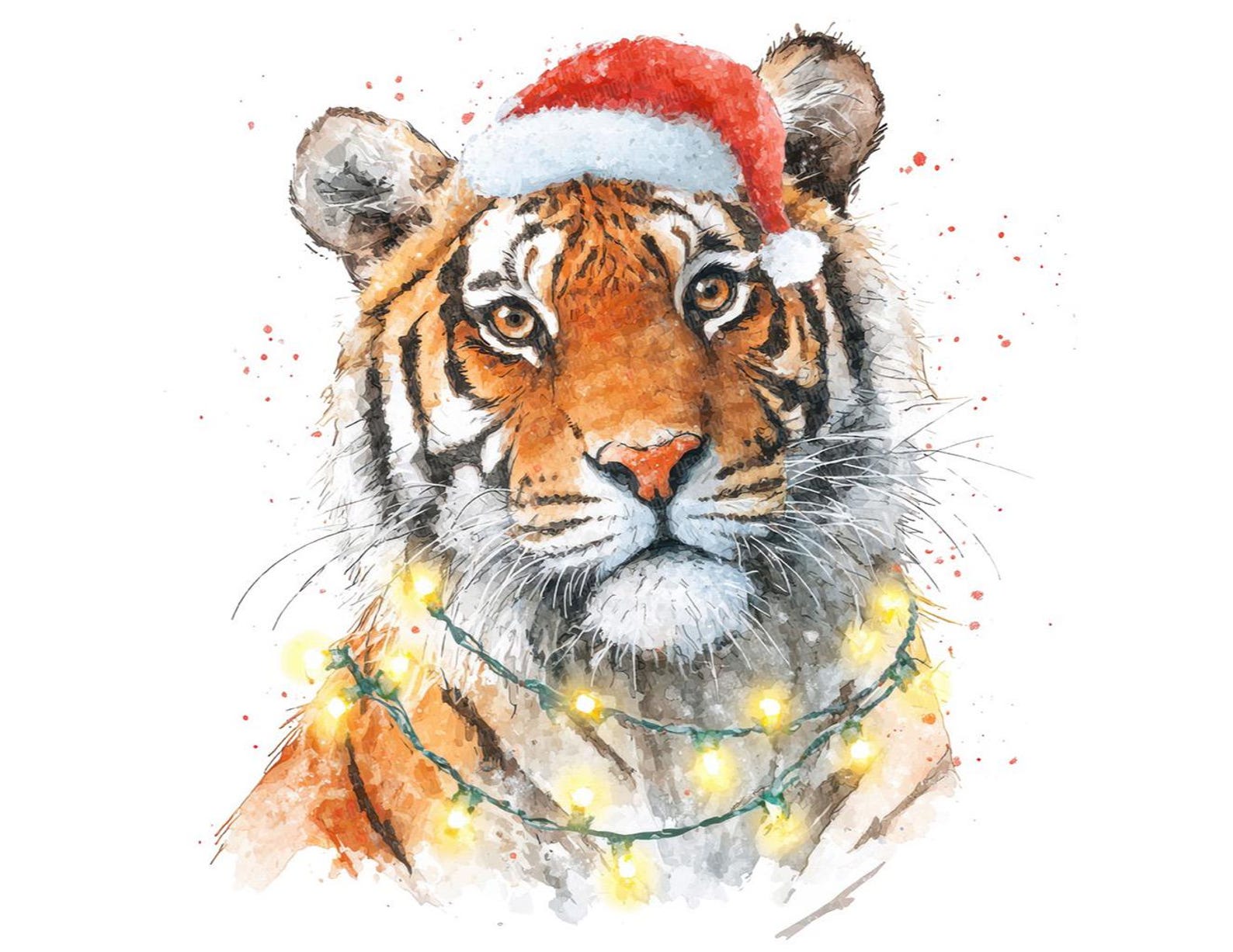 Christmas Tiger Clipart, 12x Santa Hat Tigers PNG, Printable Watercolor ...