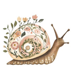 Snail PNG Clip Art, 12x Folk Art Snail Clipart Set, Floral and Vine ...
