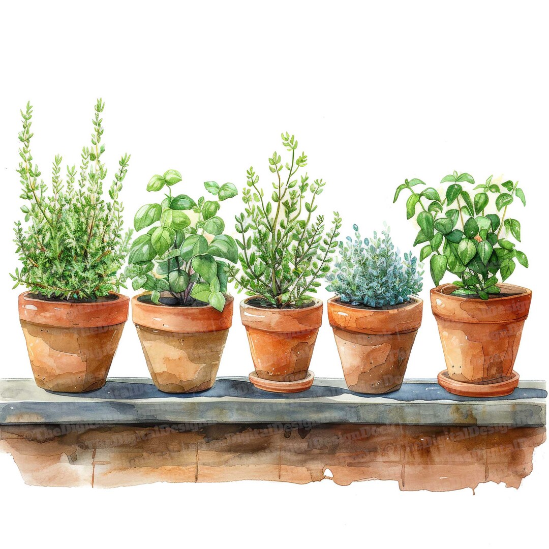 12x Potted Herb Garden Clipart, Pot Plants Floral Clipart,printable ...