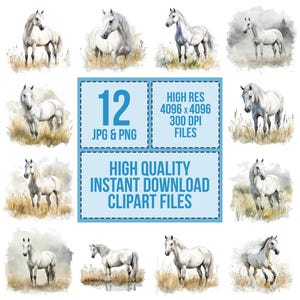 White Horse PNG Clipart, 12x Running Horse Clip Art Set, Printable ...
