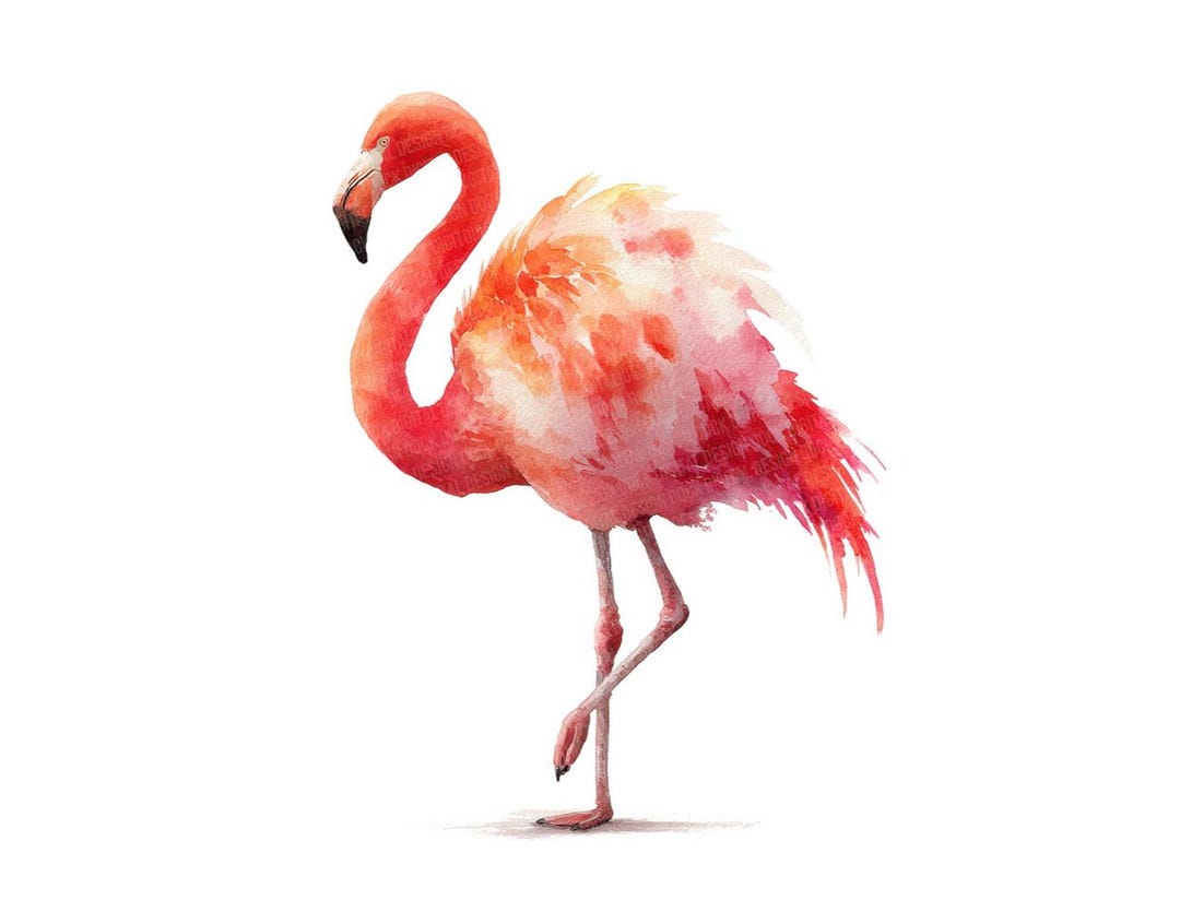 Flamingo Clipart, 12x Tropical Bird PNG Clip Art Set, Printable ...