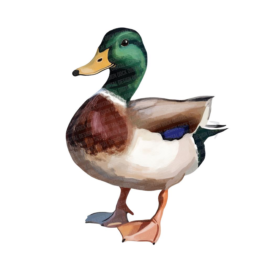 Duck PNG Clipart, 12x Oil Painted Farm Duck Clip Art Set, Printable ...