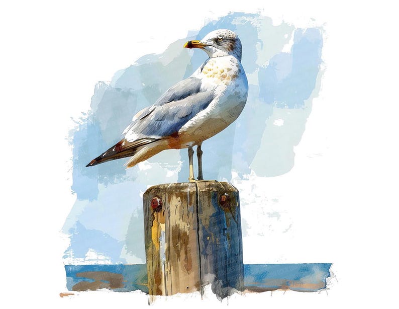 Seagull Clipart, 12x Coastal Bird on Post Art Set, Printable Watercolor ...
