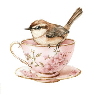 Wren in Pink Teacup PNG Clip Art, 12x Bird Clip Art Set, Printable ...