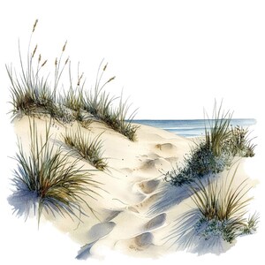 12x Sand Dune PNG Clipart, Watercolor Coastal Grass Clip Art Set ...