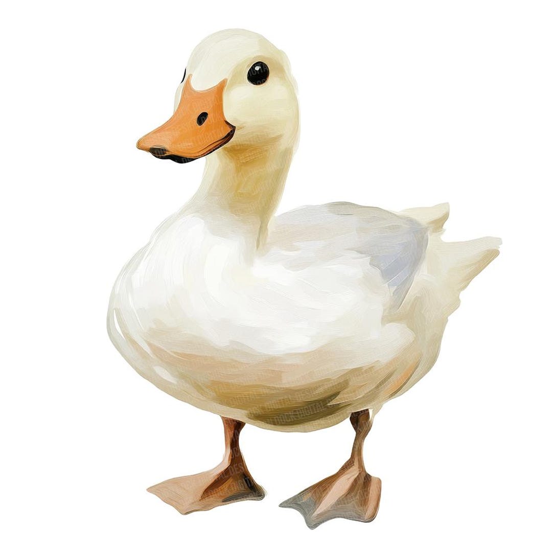 Duck PNG Clipart, 12x Oil Painted Farm Duck Clip Art Set, Printable ...