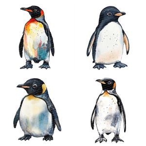 Penguin PNG Clipart, 12x Watercolor Antarctic Animal Clip Art Set ...