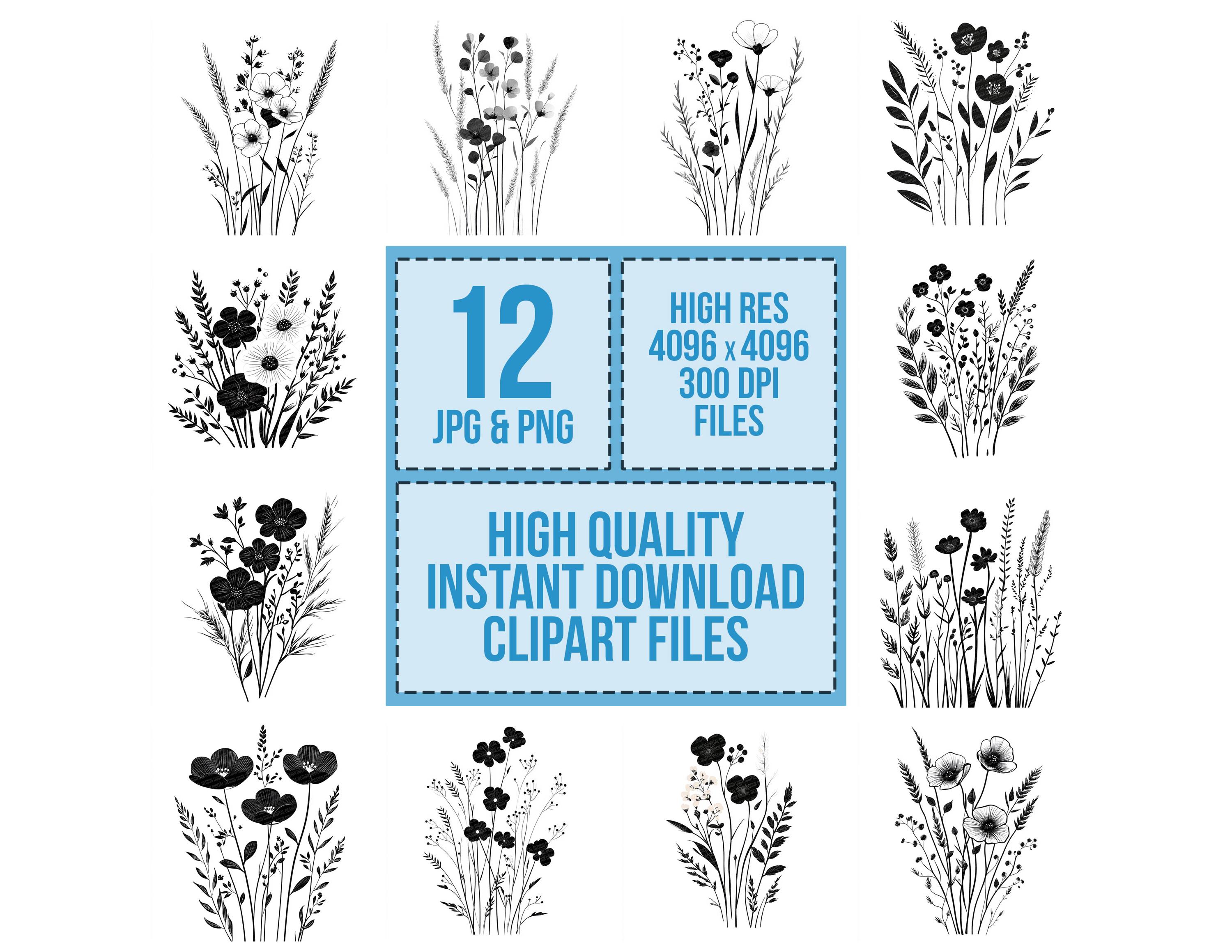 Black & White Floral PNG Clip Art, 12x Monochrome PNG Flower Clipart ...