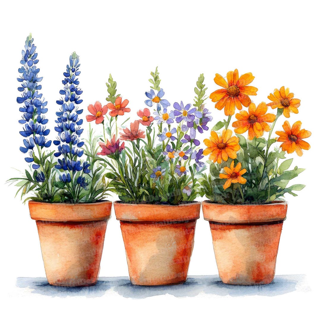 12 Watercolor Potted Flowers Clipart, Terracotta Pots With Wildflowers ...