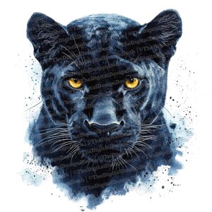 Wild Cats Clipart, Big Cats Watercolor Illustration, Printable Clipart ...