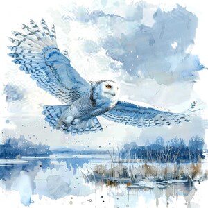 Snowy Owl Clipart, 12 Jpgs, Winter Snow Owls Clip Art, Printable Image ...