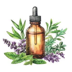 12x Essential Oil Clip Art, Herb Oil Bottle PNG Set, Printable ...