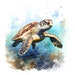 Sea Turtles Clipart, 12 Jpgs, Ocean Wildlife Clip Art, Printable Image ...