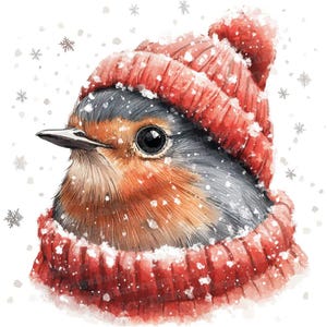 Christmas Robin Clip Art, 12x Winter Bird Clipart Set, Red Hat Robin ...