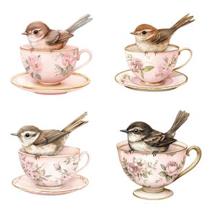 Wren in Pink Teacup PNG Clip Art, 12x Bird Clip Art Set, Printable ...