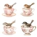 Wren in Pink Teacup PNG Clip Art, 12x Bird Clip Art Set, Printable ...