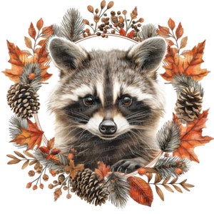12x Vintage Raccoon Clipart, Woodland Clipart, Printable Watercolor ...