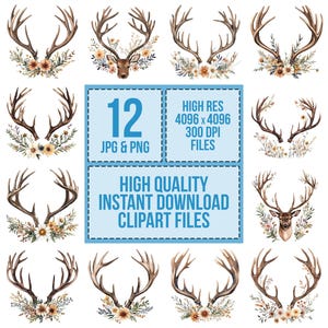 Deer Antler PNG Clipart, 12x Floral Antlers Clip Art Set, Printable ...
