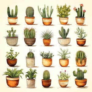12x Potted Cactus Clipart, Pot Plants Floral Clipart, Printable ...