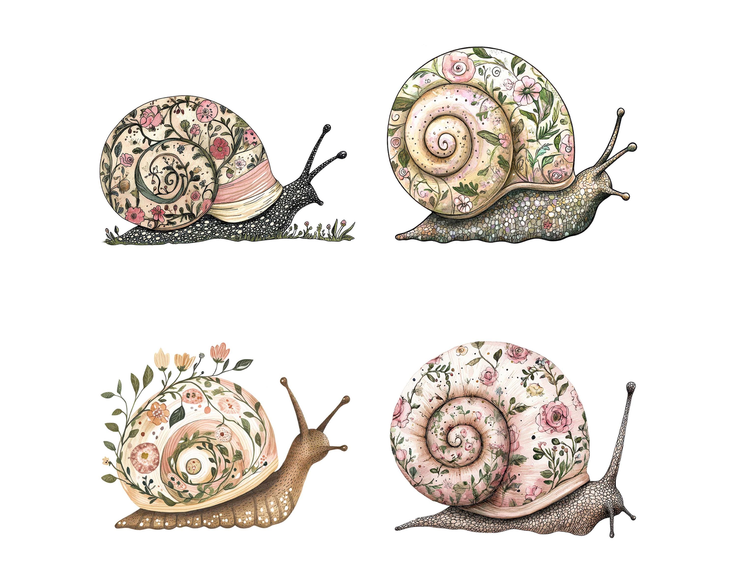 Snail PNG Clip Art, 12x Folk Art Snail Clipart Set, Floral and Vine ...
