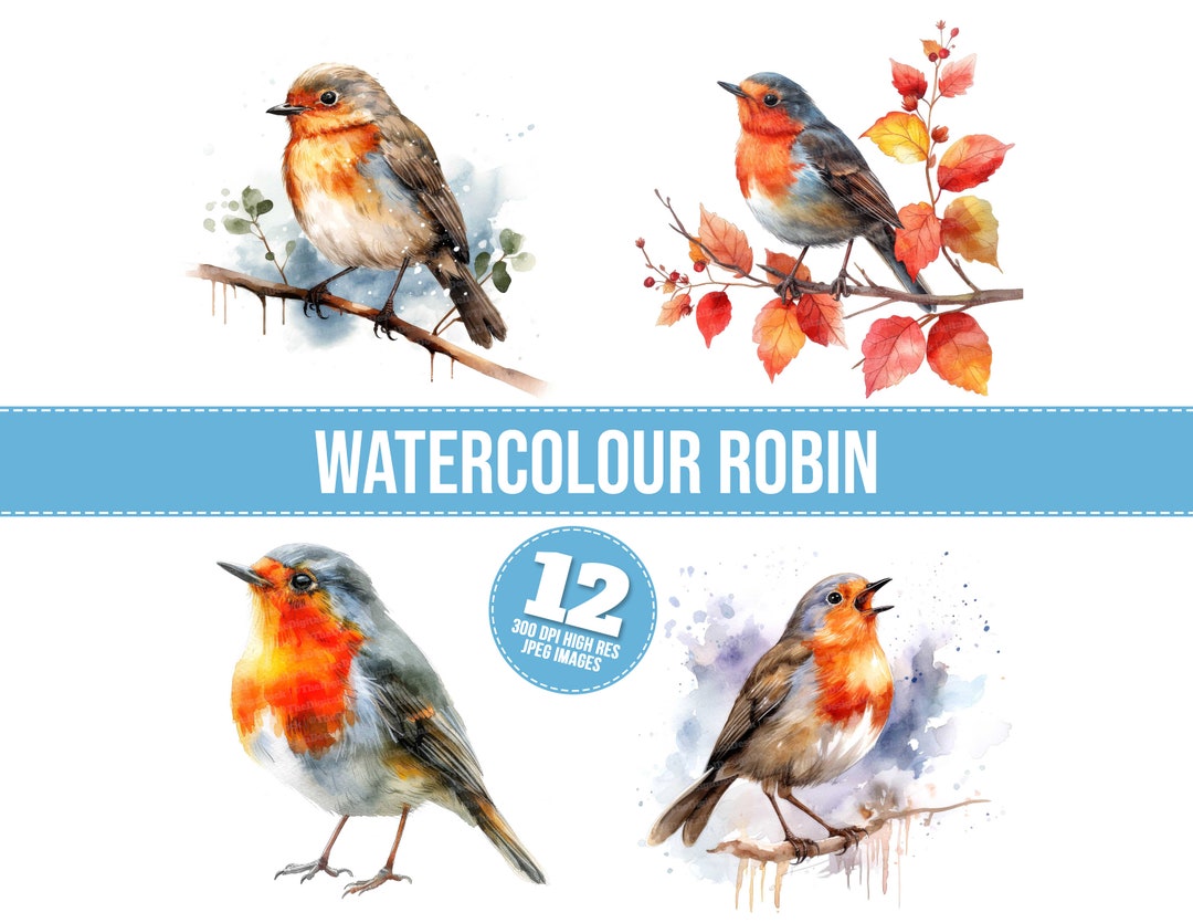 Watercolor Robin Clipart, 12 Jpgs, American Bird Printable Image ...