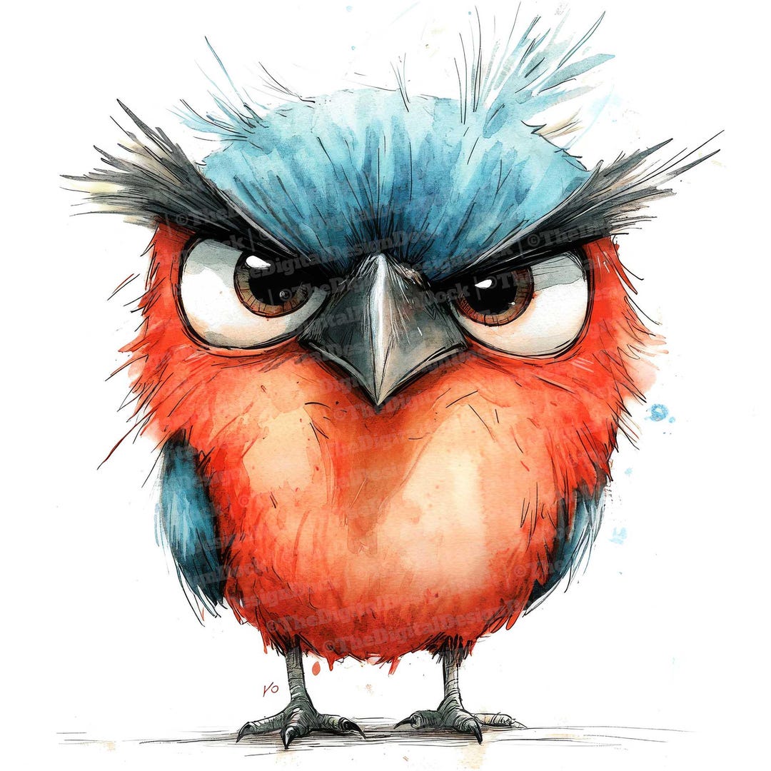 12 Grumpy Bird Clipart, Watercolor Mad Bird Clipart, Printable ...