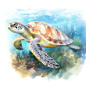 Sea Turtles Clipart, 12 Jpgs, Ocean Wildlife Clip Art, Printable Image ...
