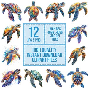 Watercolor Sea Turtle PNG Clipart, 12x Marine Life Clip Art Set ...